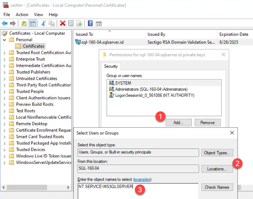 Configuring TLS Certificates for SQL Server